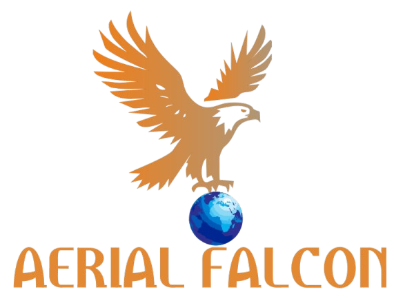 HOME-Aerial Falcon
